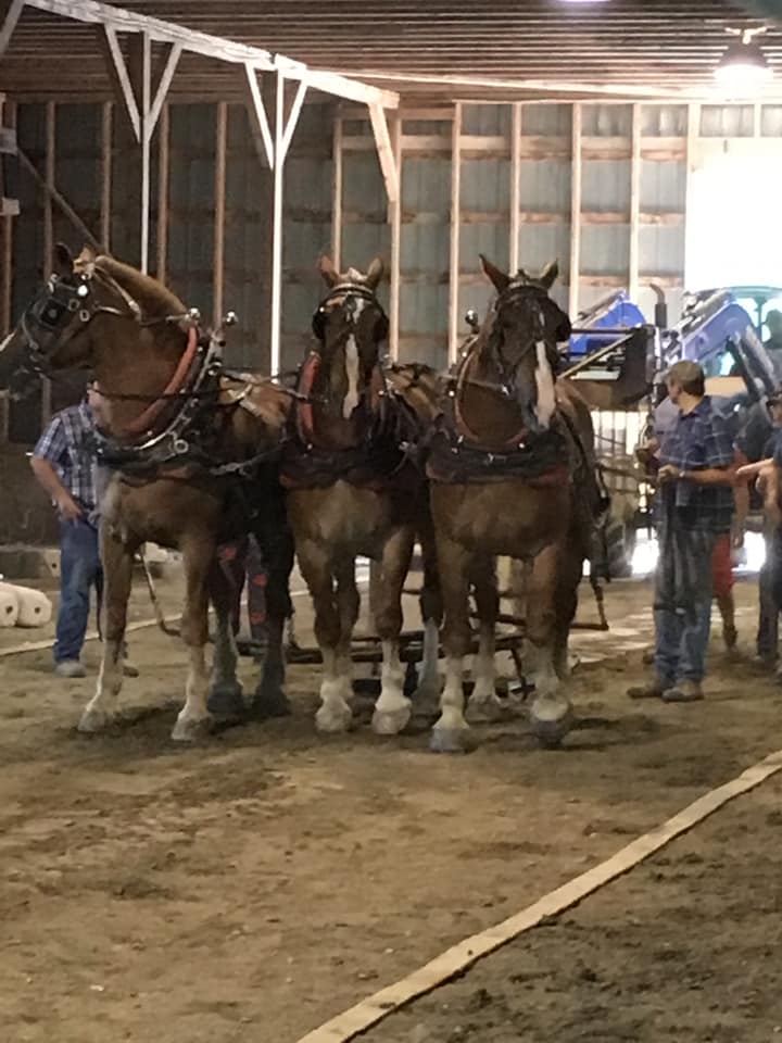 Digby County Exhibition (in Bear River) Aug 21- 24, 2019 – Schedule ...