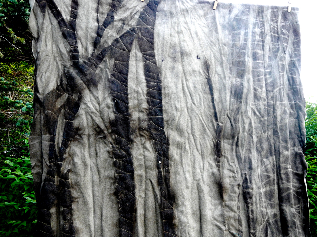 Diane Clapp & Penny Berens – Inspiration in Nature – Art Opening Jan ...